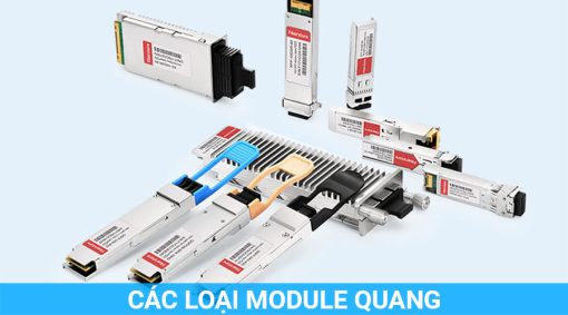 Module quang SFP là gì? Phân biệt Module quang với Converter