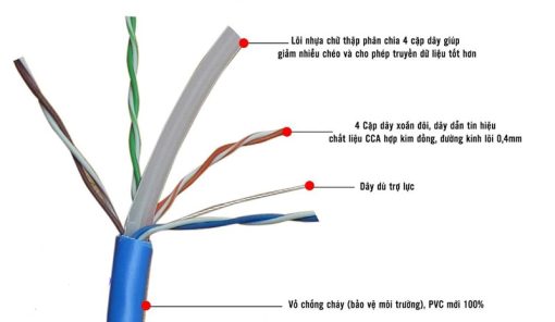 Cáp Mạng CAT6 và CAT6a Cùng Tất Cả Những Điều Bạn Cần Biết