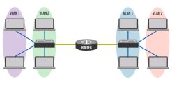 Tìm hiểu VLAN TRUNK và Cổng Trunk trên Switch