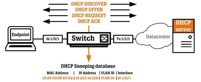 DHCP Snooping là gì? Cấu hình DHCP Snooping trên Switch Cisco » Viễn ...