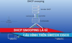 DHCP Snooping là gì? Cấu hình DHCP Snooping trên Switch Cisco » Viễn ...